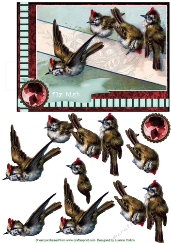 Fly High Card Front - CUP726680_361 | Craftsuprint