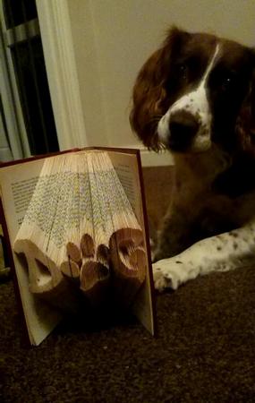 Dog with Pawprint Book Folding Pattern - CUP645075_2201 | Craftsuprint
