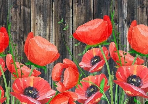 Poppies A4 Background - CUP907683_93774 | Craftsuprint