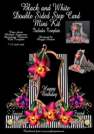 Black and White Double Sided Step Card Plus Template - CUP611192_2120 ...