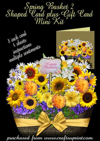 Spring Basket 2 Shaped Card Plus Gift Card - CUP626020_2120 | Craftsuprint