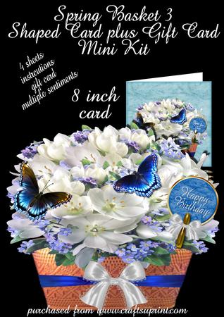 Spring Basket 3 Shaped Card Plus Gift Card - CUP626026_2120 | Craftsuprint
