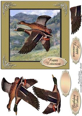 2 Wild Ducks - Card Front - CUP645614_2120 | Craftsuprint