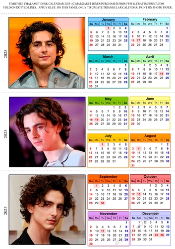 Timothee Chalamet Triangular Desk Calendar 2025 - CUP1328711_601 ...