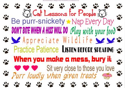 Cat Lessons for People - Text Art - CUP479953_601 | Craftsuprint