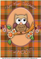 Owl Iris Folding Pattern - CUP57772_601 | Craftsuprint