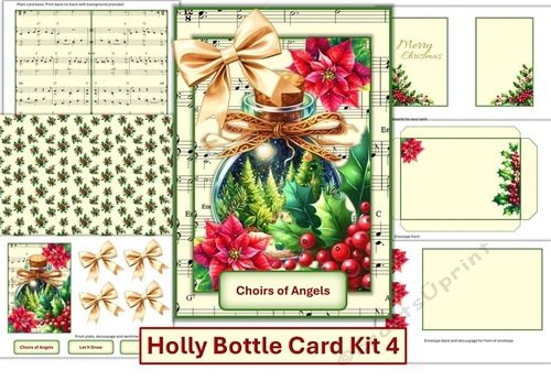 Holly Bottle Card Kit 4 with inserts, decoupage, sentiments and ...