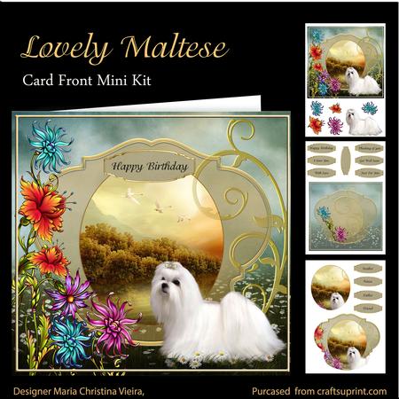 Lovely Maltese Card Front - CUP555461_1784 | Craftsuprint