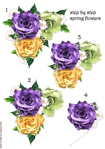 Step By Step Spring Flowers - CUP1084739_936 | Craftsuprint