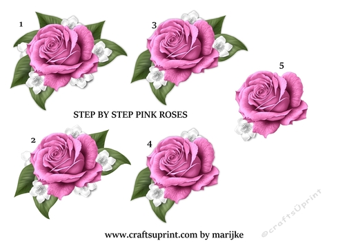 Step By Step Gorgeous PINK Roses - CUP1218060_936 | Craftsuprint