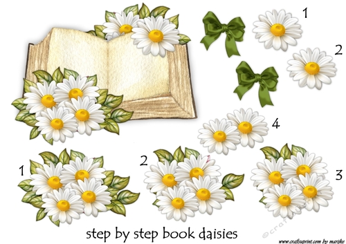 Book Daisies Step by Step - CUP1295980_936 | Craftsuprint