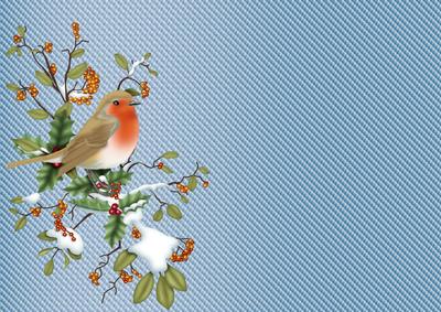 Christmas Robin A4 Background - CUP336938_936 | Craftsuprint