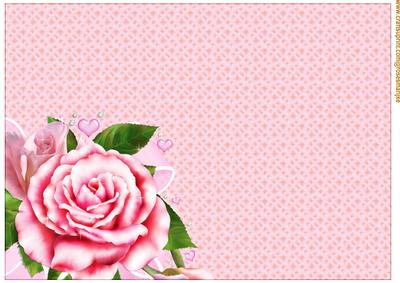 A4 Pink Roses Background - CUP389867_936 | Craftsuprint