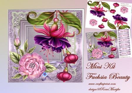 Mini Kit Fuchsia Beauty - CUP426568_936 | Craftsuprint