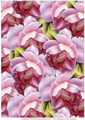 A4 Background Roses - CUP515488_936 | Craftsuprint