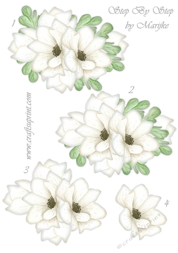 Step By StepBeautiful Flowers - CUP794206_936 | Craftsuprint