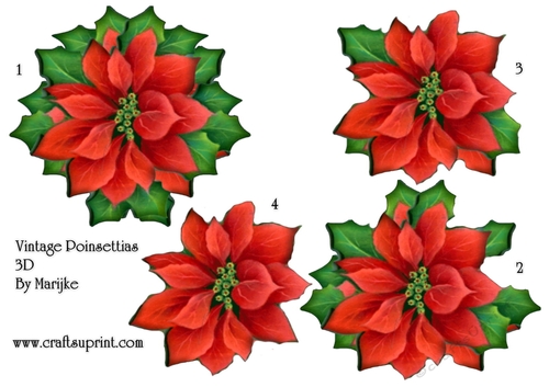 3D Vintage Poinsettias - CUP820217_936 | Craftsuprint