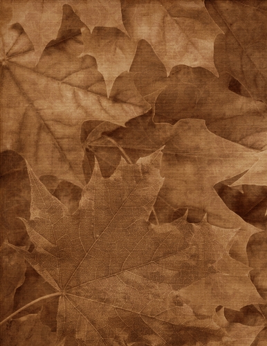 Fall Season Brown Color Leaves Pattern Background {BT} - CUP745915 ...