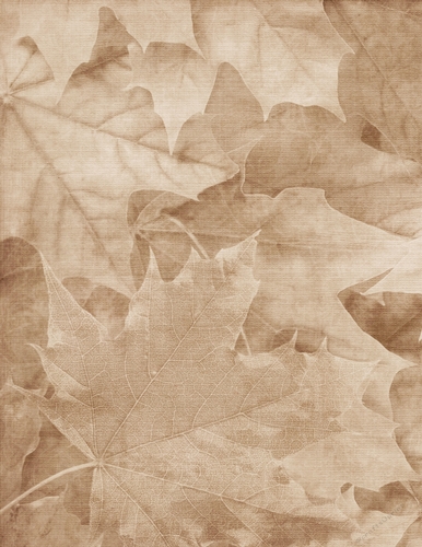 Fall Season Tan Color Leaves Pattern Background {BT} - CUP745916_70864 ...