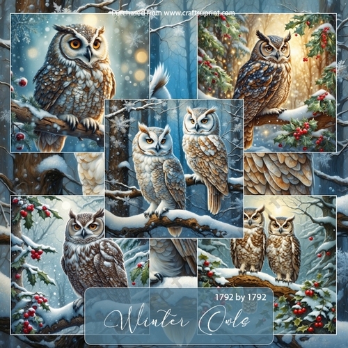 Winter Owls - CUP1350050_79156 | Craftsuprint