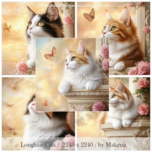 Longhair Cats / Card Fronts - CUP1365390_79156 | Craftsuprint