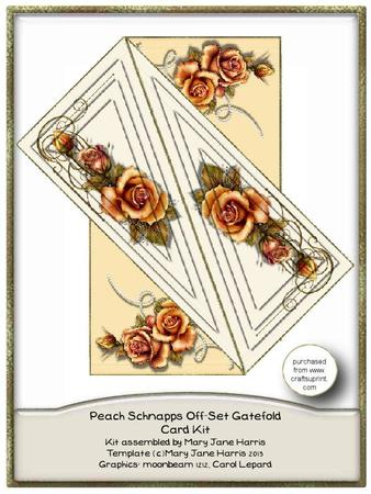 Peach Schnapps Off-set Gatefold Card Kit - CUP397649_99 | Craftsuprint
