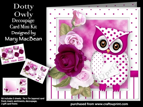 Dotty Owly - Decoupage Card Mini Kit - CUP1029477_1648 | Craftsuprint