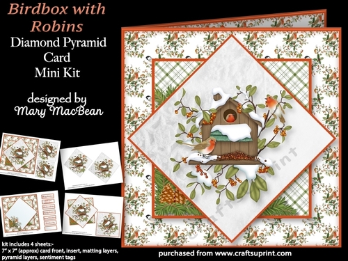 Birdbox with Robins - Diamond Pyramid Card Mini Kit - CUP1123843_1648 ...