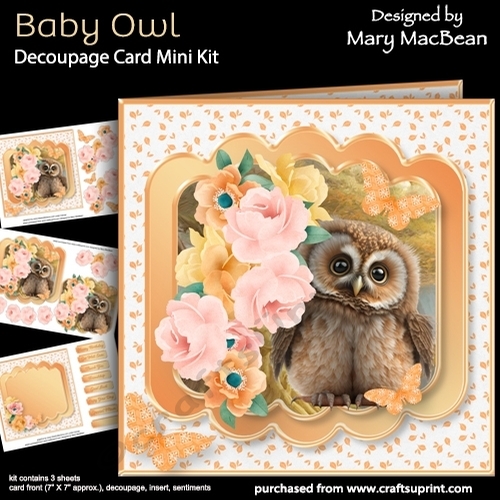 Baby Owl - Decoupage Card Mini Kit - CUP1232638_1648 | Craftsuprint