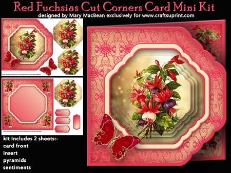 Red Fuchsias Cut Corners Card Mini Kit - CUP540013_1648 | Craftsuprint