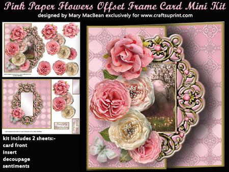 Pink Paper Flowers Offset Frame Card Mini Kit - CUP561680_1648 ...