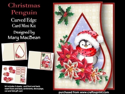 Christmas Penguin - Curved Edge Card Mini Kit - Photo by Jenny Archer