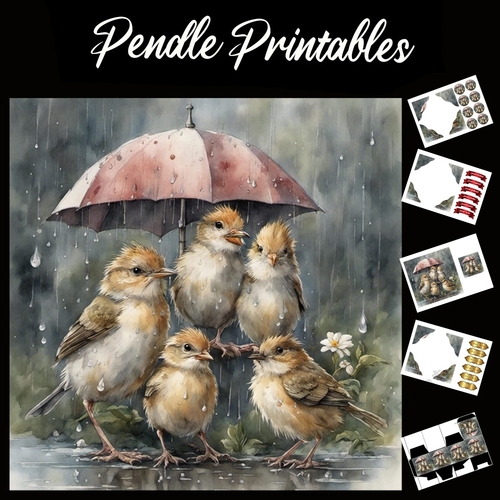 Chirping In The Rain 7x7 Card Kit. Matching Box, Gift Bauble,Tag ...