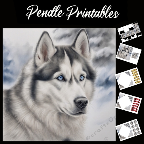 The Blue Eyed Husky 7x7 card kit. Matching Box, Gift Bauble,Tag ...