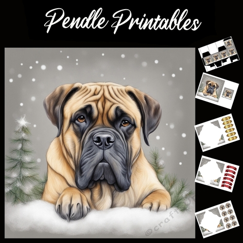 One Bored Bully. Bullmastiff Christmas Card. 7x7 card kit. Matching Box ...