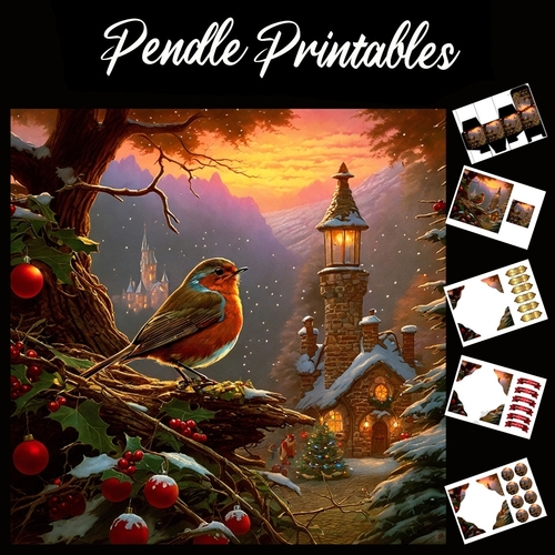 The Royal Robin. Robin Christmas Card. 7x7 card kit. Matching Box, Gift ...