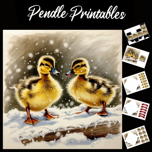 Ducking The Snowballs .Ducks Christmas Card. 7x7 card kit. Matching Box ...