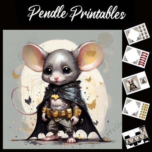 Super Hero Bat Rat 7x7 Card Kit. Matching Box, Gift Bauble,Tag ...