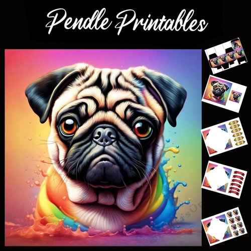 The Colourful Pug 7x7 Card Kit. Matching Box, Gift Bauble,Tag ...