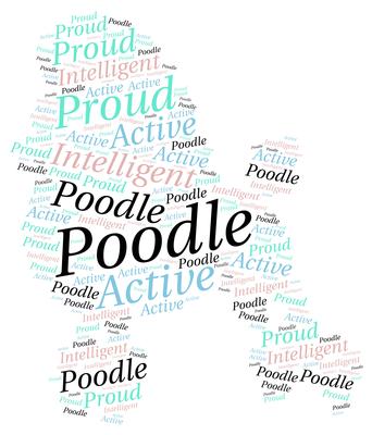 Poodle Word Art Image - CUP631378_2229 | Craftsuprint