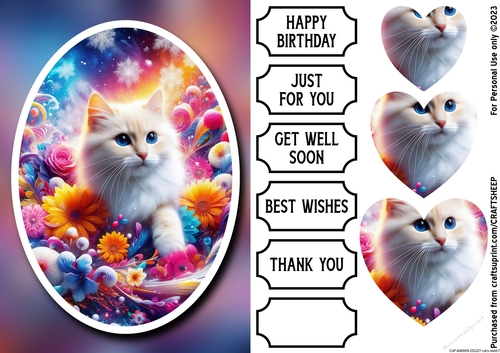 Cat Vivid Quick Card Front A5 and 5x7in with Heart-Shaped Pyramage ...