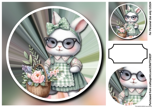 Funny Easter Bunny Quick Card Front 8x8 and 7x7in with Gift Tag and ...