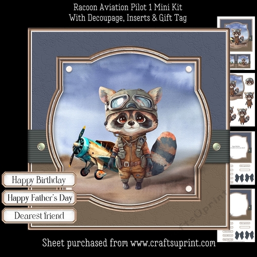 Racoon Aviation Pilot 1 Mini Kit - CUP1217570_376 | Craftsuprint