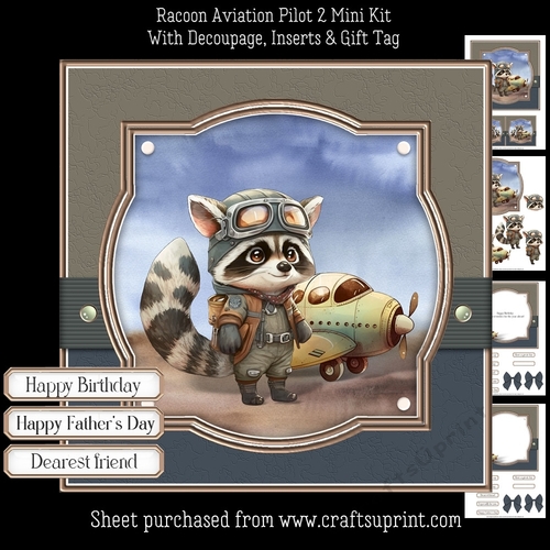 Racoon Aviation Pilot 2 Mini Kit - CUP1217785_376 | Craftsuprint