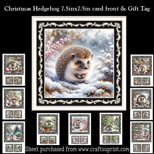 Christmas Hedgehog Kit With Gift Tag - CUP1341400_376 | Craftsuprint