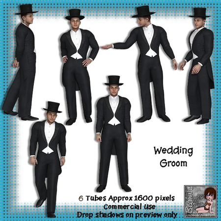 6 Wedding Groom Poser Tubes - CUP430530_376 | Craftsuprint