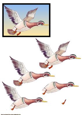 Flying Birds Step by Step - CUP48129_376 | Craftsuprint