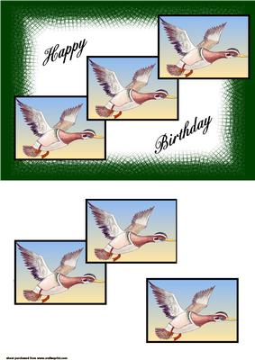 Flying Birds Card Front - CUP48131_376 | Craftsuprint