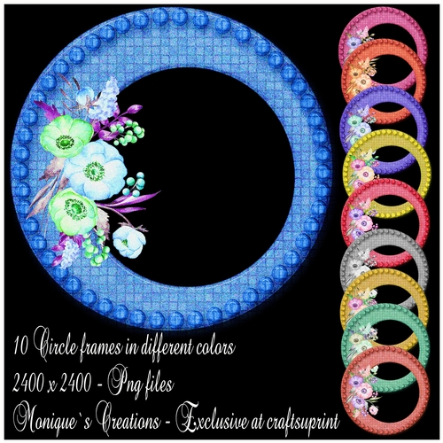 10 Circle frames in different colors - CUP1296519_2246 | Craftsuprint