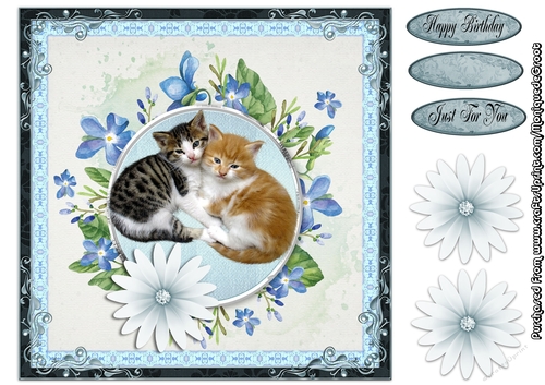 2 Cute Cats Card Front 8 x 8 - CUP723481_2246 | Craftsuprint
